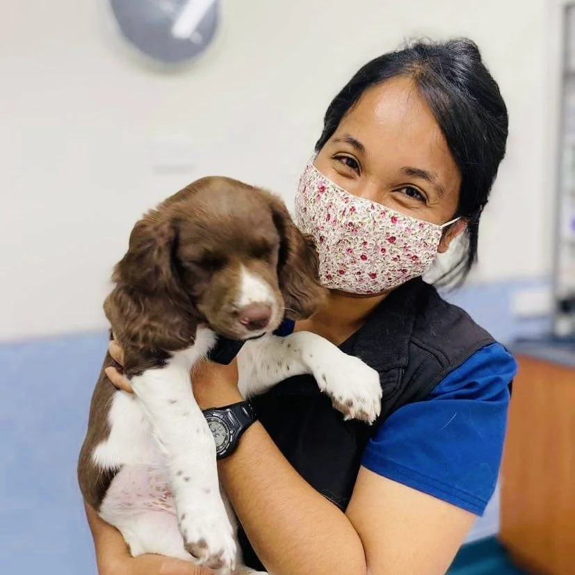 Westernport Veterinary Clinic-Our Team