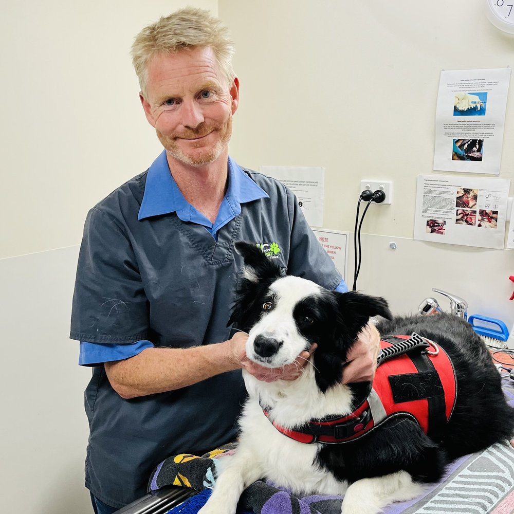Our Team - Westernport Veterinary Clinic