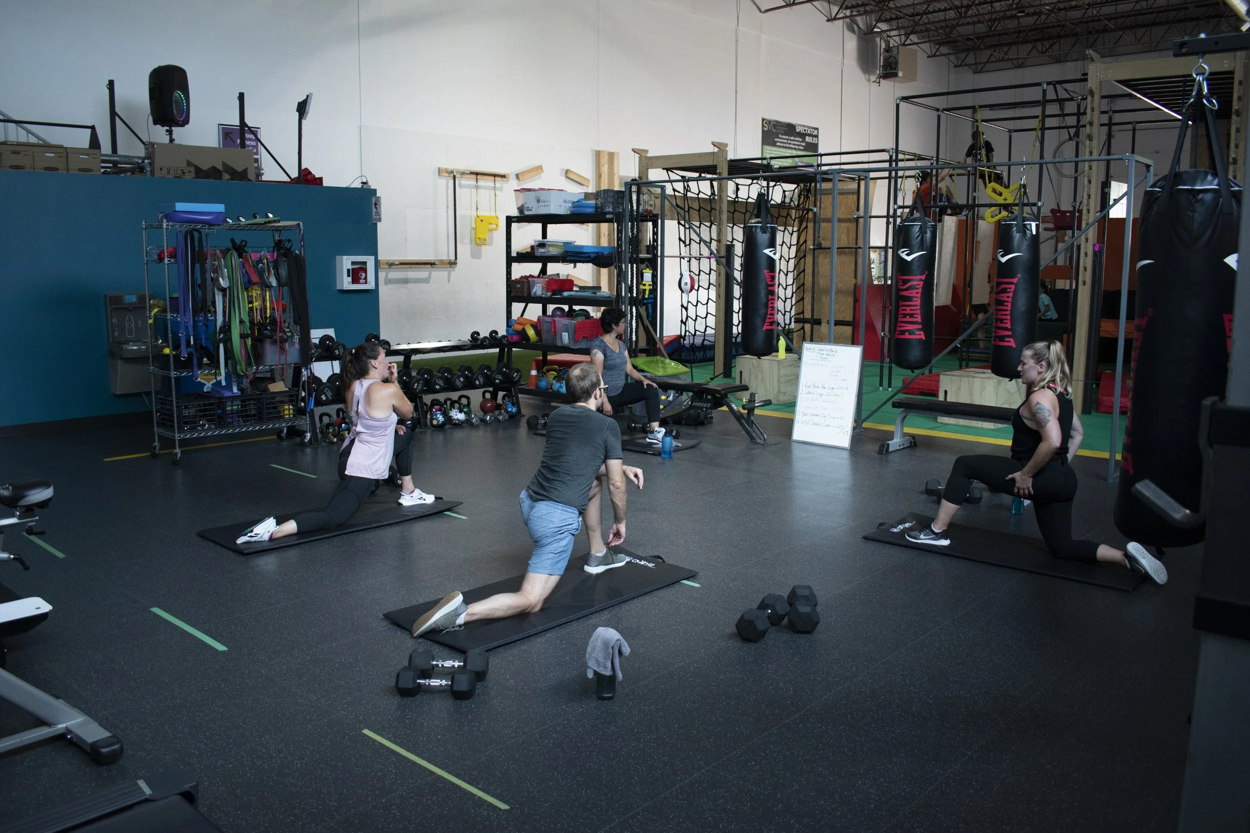Class Descriptions — Serratus Movement Centre