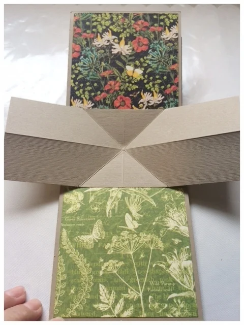 Tangled Twisted Pop-up Card — I Teach Tangling