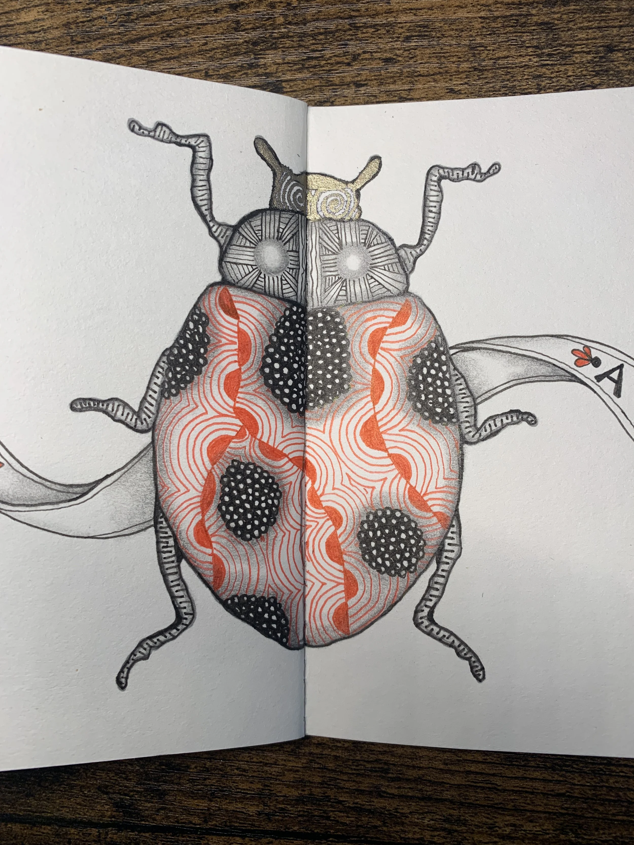 Project Pack 24 Review: A Journey to Mindful Creativity — I Teach Tangling