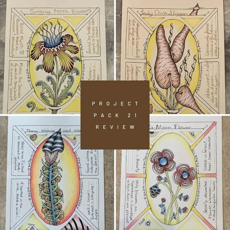 Let's review project pack 21 with all its glorious botanical tangles ...