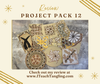 Project Pack 12 Review — I Teach Tangling
