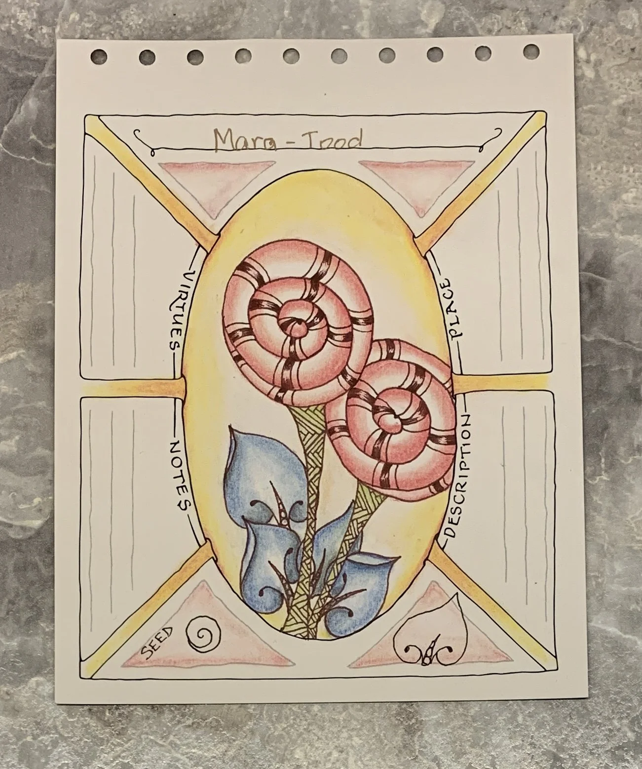 Let's review project pack 21 with all its glorious botanical tangles ...