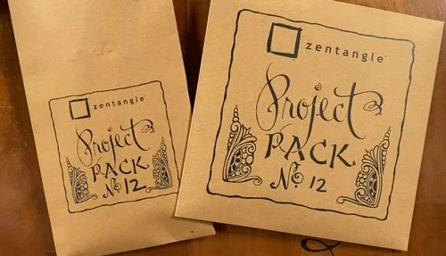 Project Pack 12 Review — I Teach Tangling