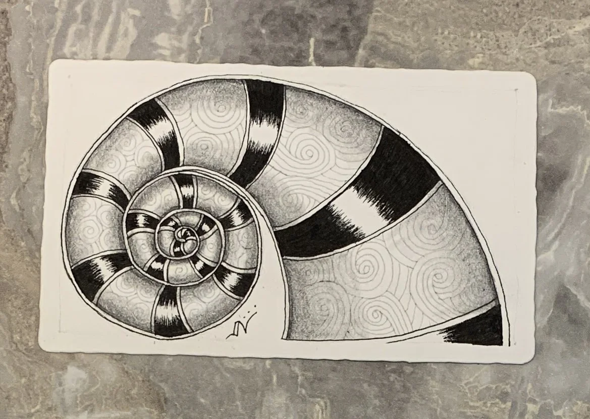 The 8 steps of Zentangle drawing changed my life — I Teach Tangling