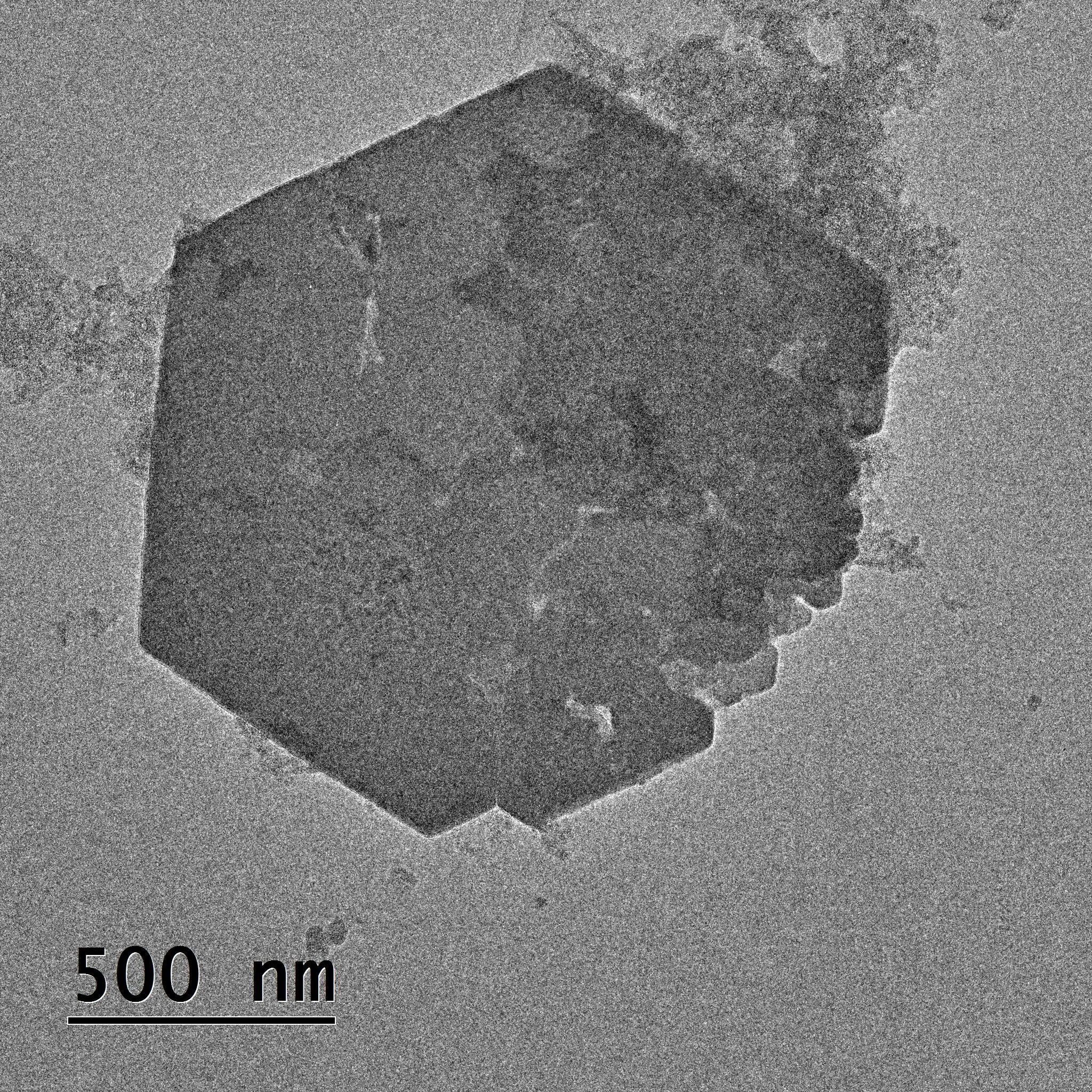 About Ichiko — Ichiko Sugiyama