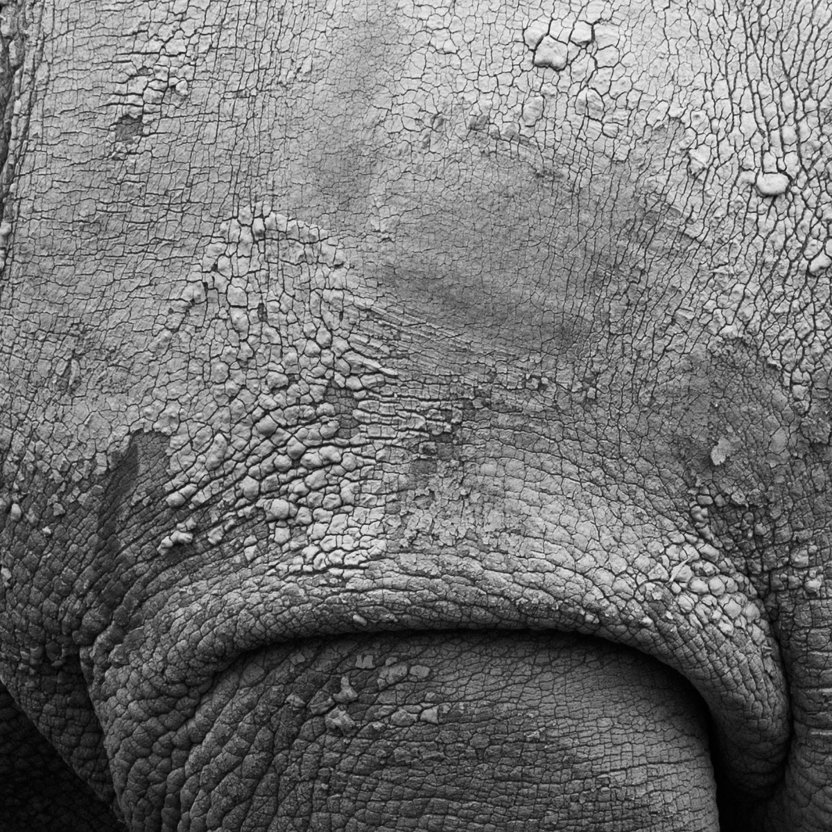 Evan Hancock - Artist • Photographer • Creative Director