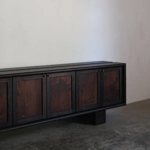 Elwha Cabinet — fern
