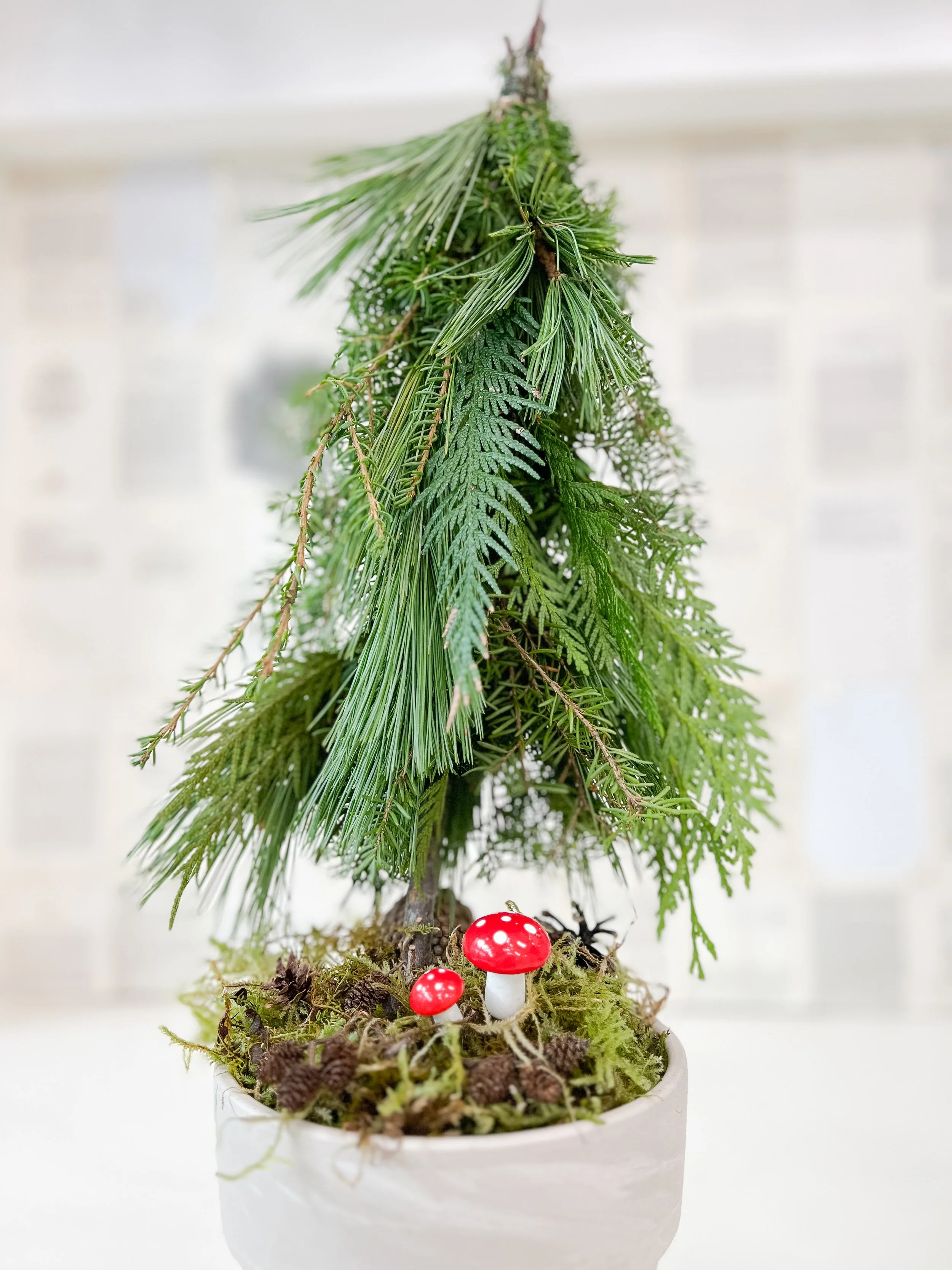 Saskatoon Florist-Fresh Flowers Online — Twig and Bloom — Saskatoon ...