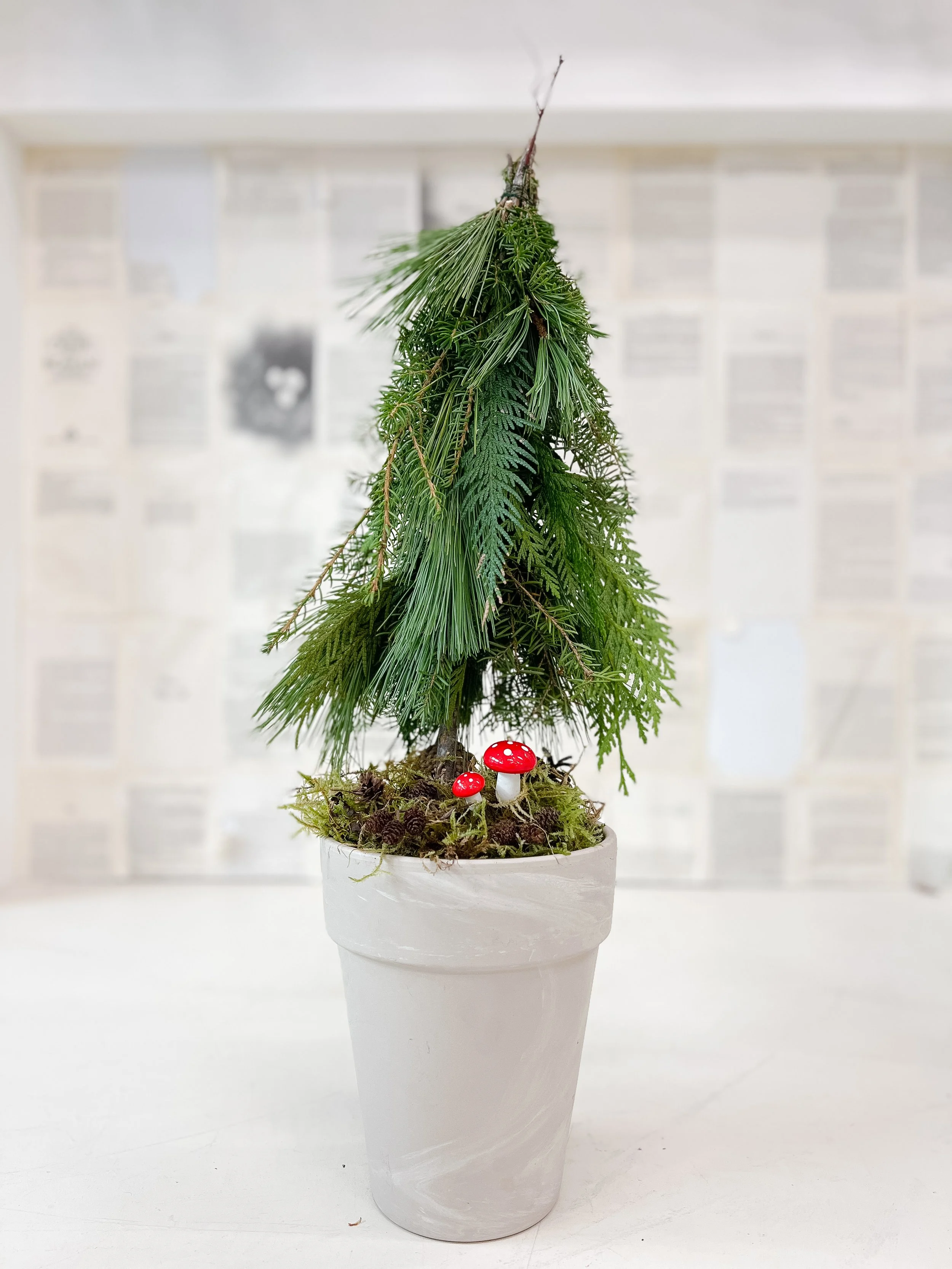 Saskatoon Florist-Fresh Flowers Online — Twig and Bloom — Saskatoon ...