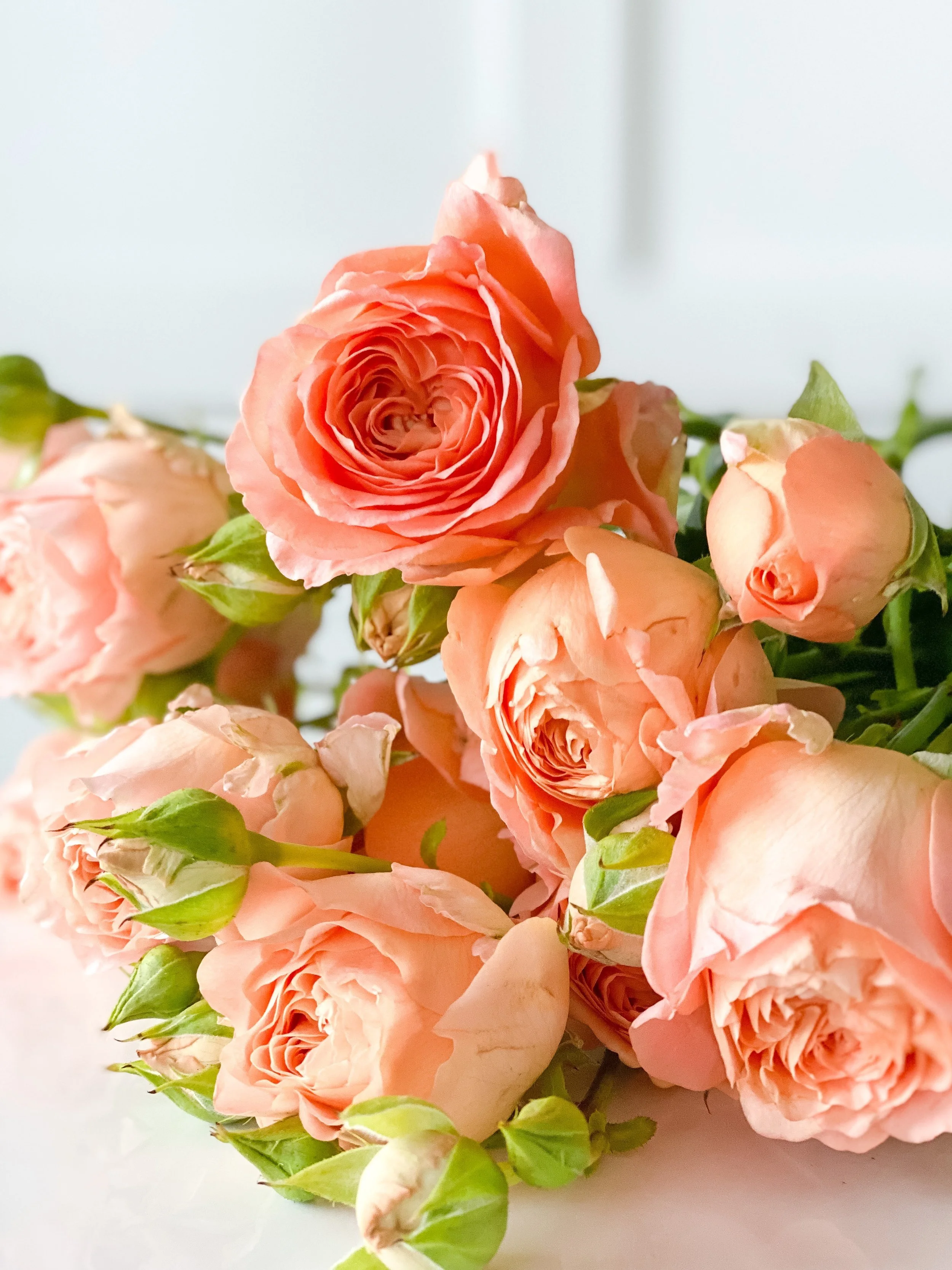 Twig and Bloom — Canadian Florist — Online Flower Delivery