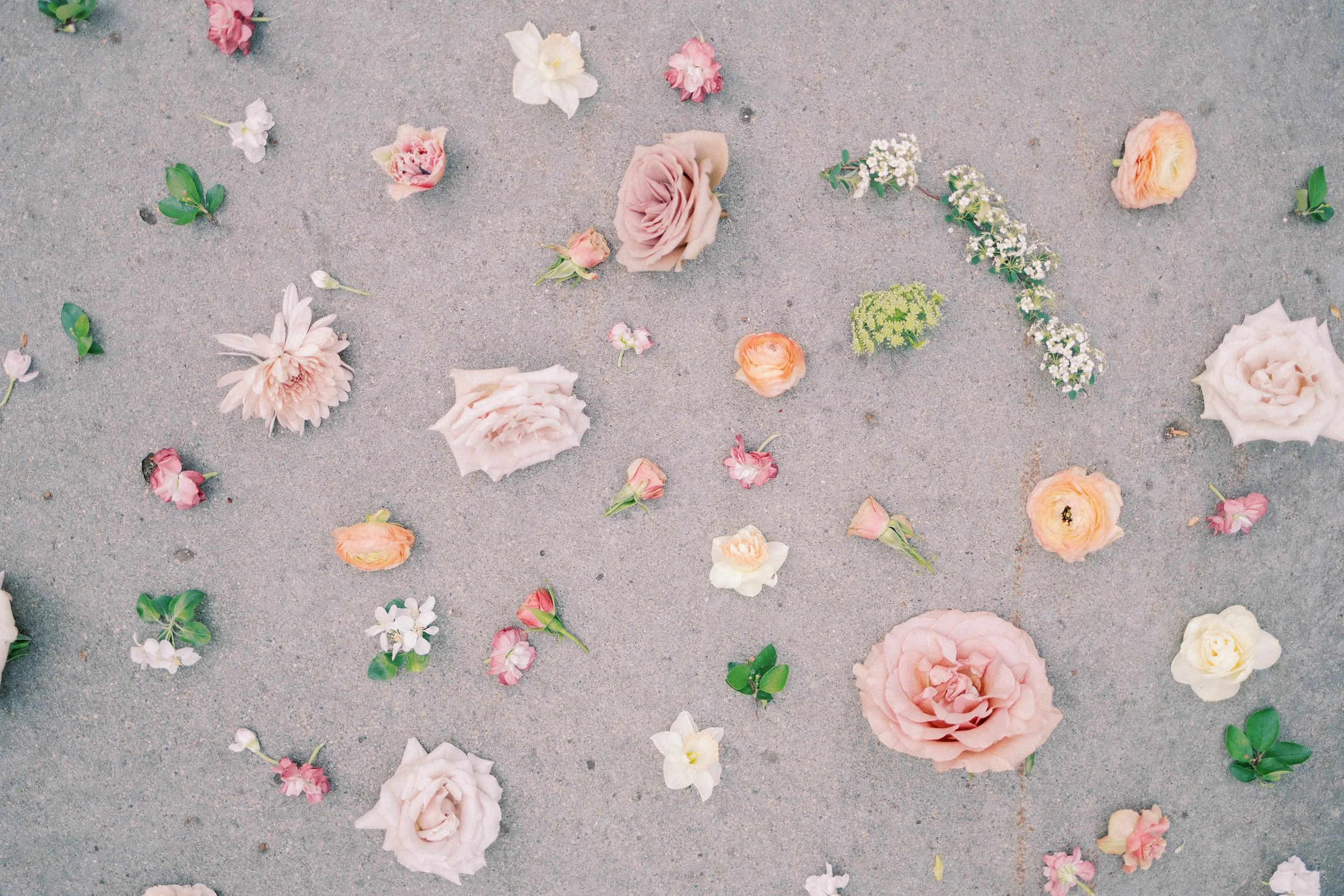 Twig and Bloom — Saskatoon Florist — Online Flower Delivery