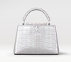 Louis Vuitton Capucines Mini Bag in Silver Holographic — UFO No More