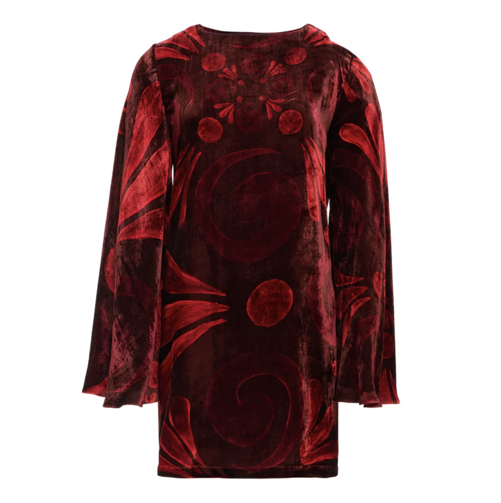 Themis Z Ino Silk Velvet Mini Dress — UFO No More
