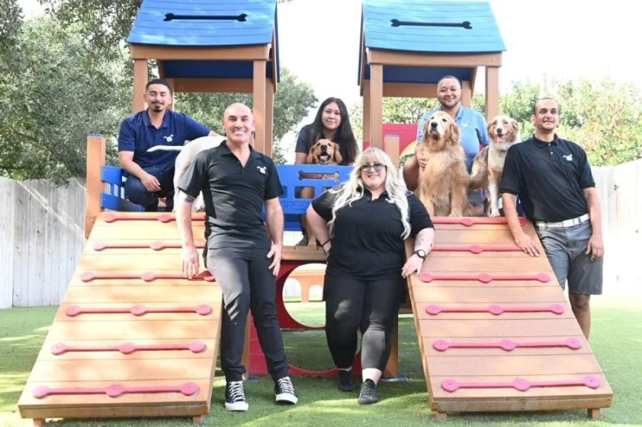 Meet Our Team — Wag'n World