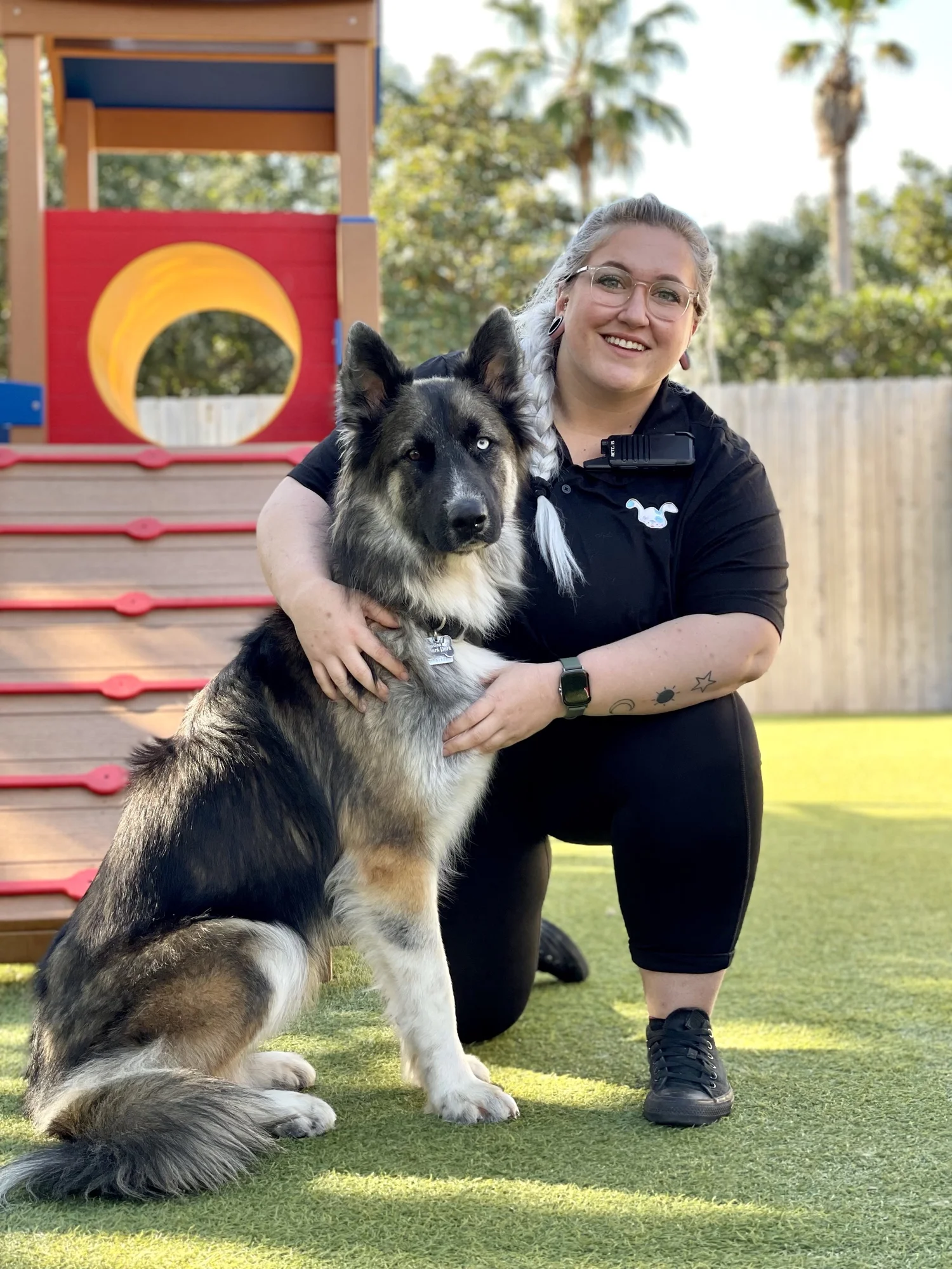 Meet Our Team — Wag'n World