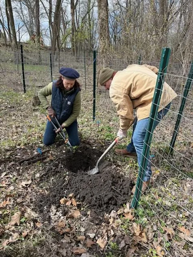 LaBagh Woods Project Update: The Urban Oasis — Chicago Ornithological ...