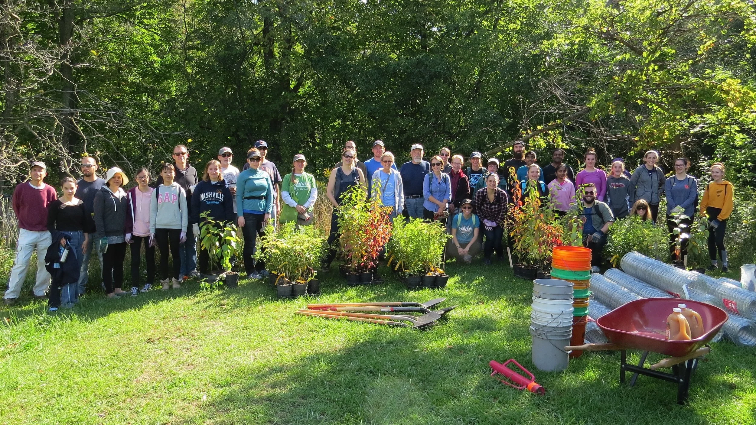 LaBagh Woods Project — Chicago Ornithological Society