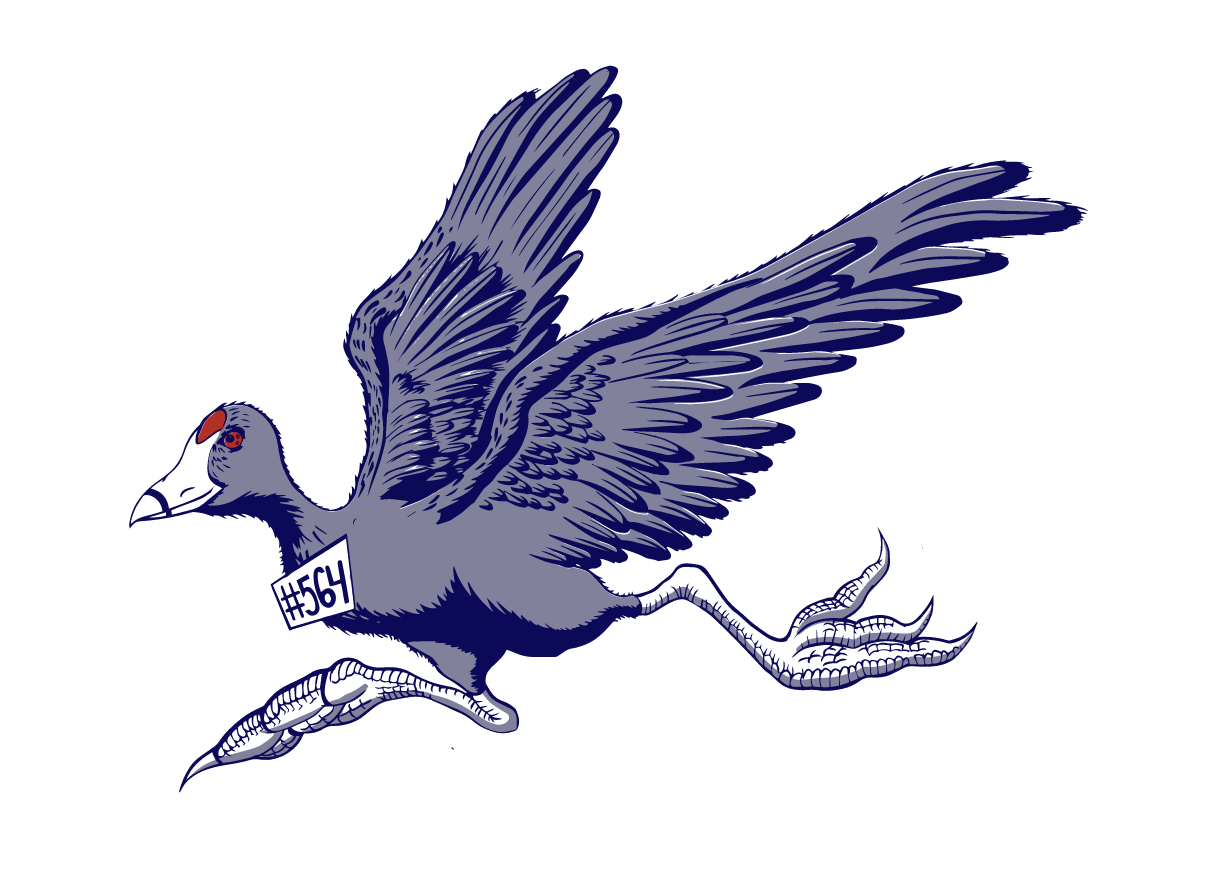 Mudhen 5k Trailrun at Big Marsh! — Chicago Ornithological Society