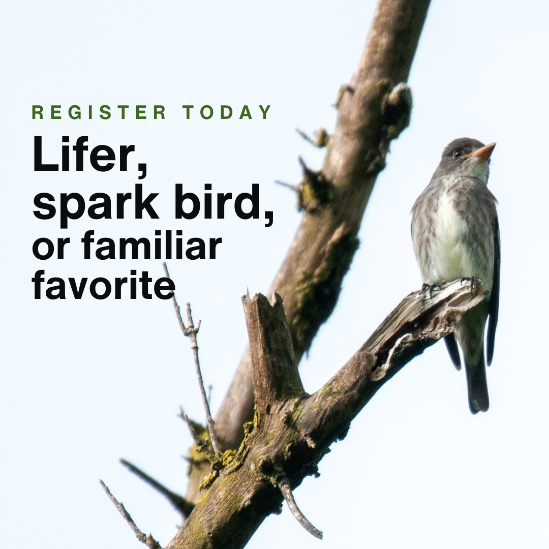 Chicago Ornithological Society