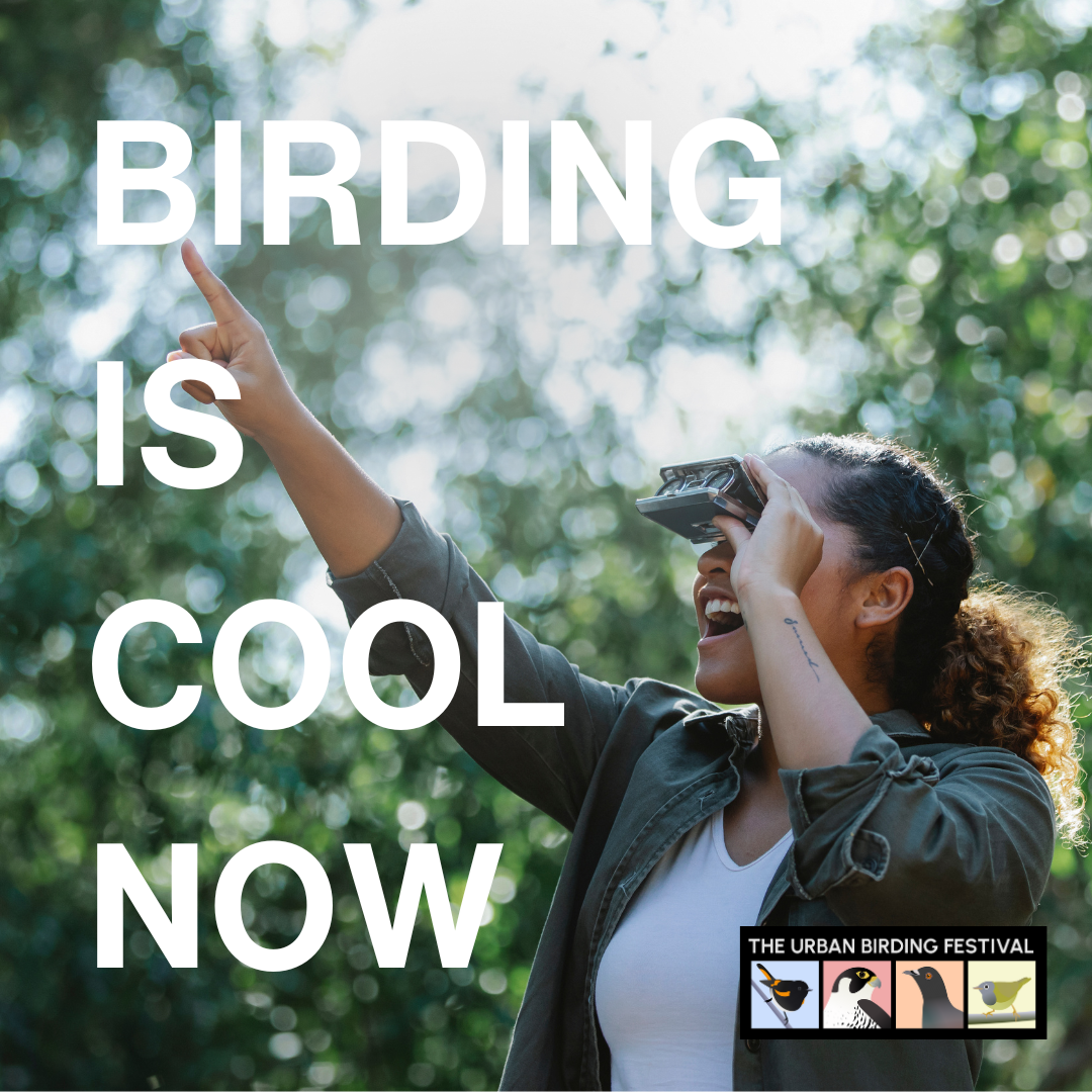 Chicago Ornithological Society