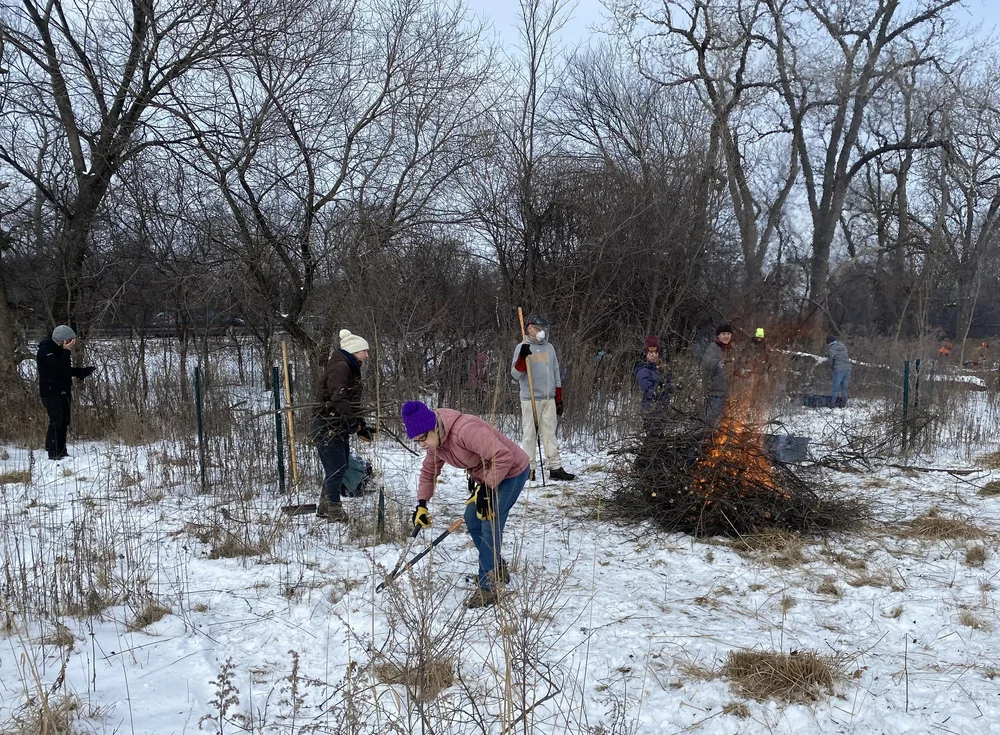 LaBagh Woods Project Update: The Urban Oasis — Chicago Ornithological ...