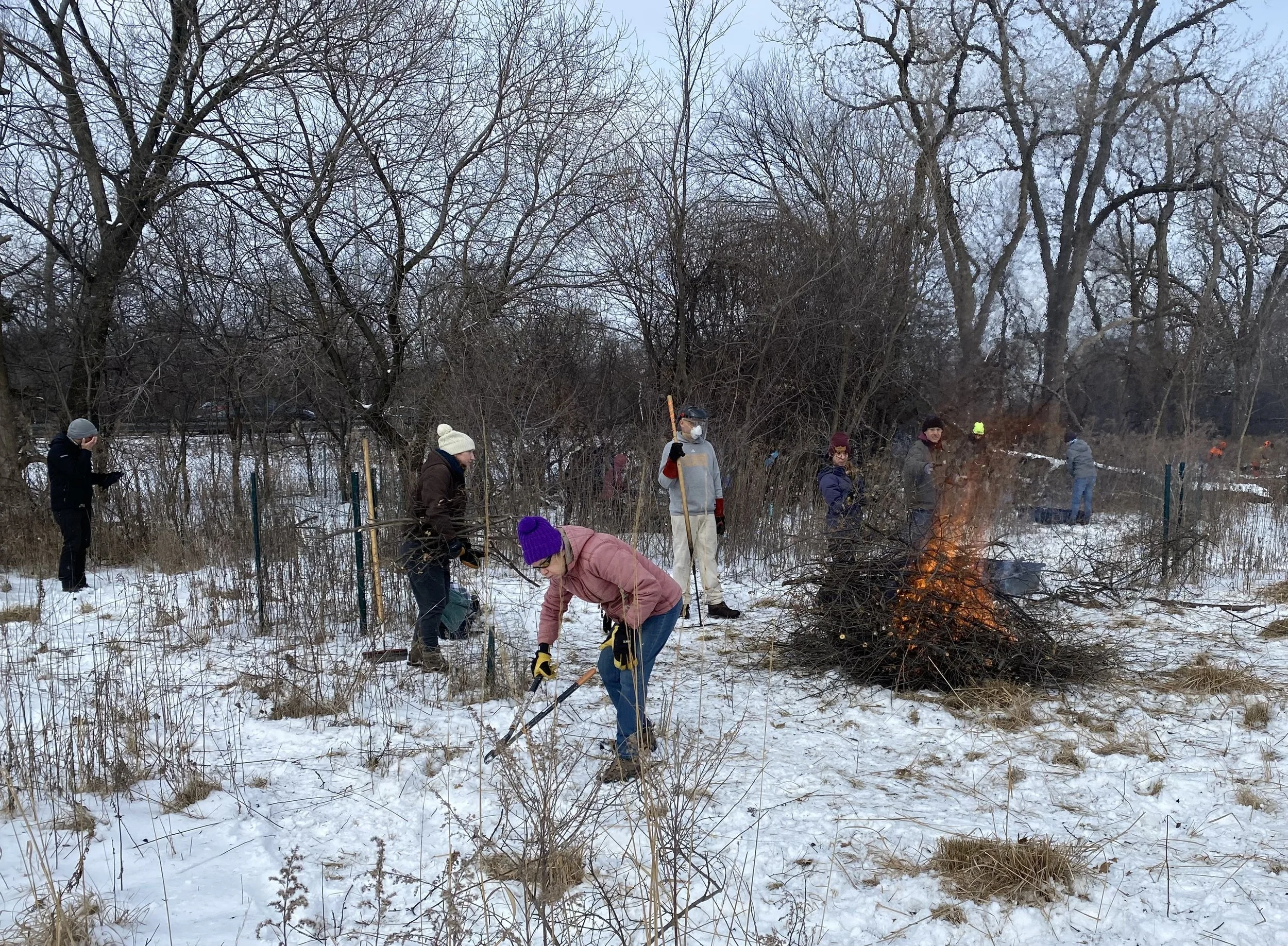 LaBagh Woods Project Update: The Urban Oasis — Chicago Ornithological ...