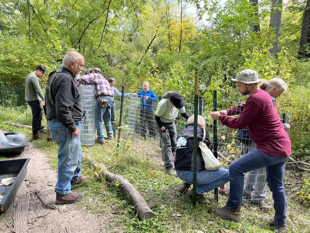 LaBagh Woods Project — Chicago Ornithological Society