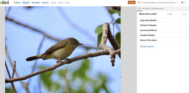 EBird Pro: Using eBird to Study Birds — Chicago Ornithological Society