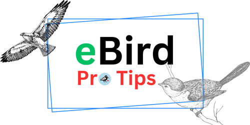 EBird Pro: Using eBird to Study Birds — Chicago Ornithological Society