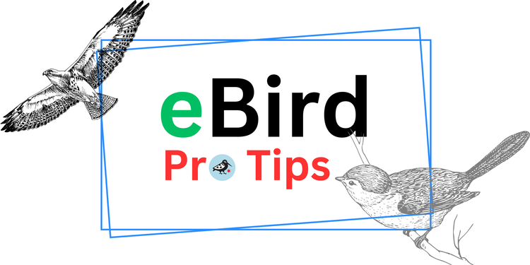 EBird Pro: Using eBird to Study Birds — Chicago Ornithological Society