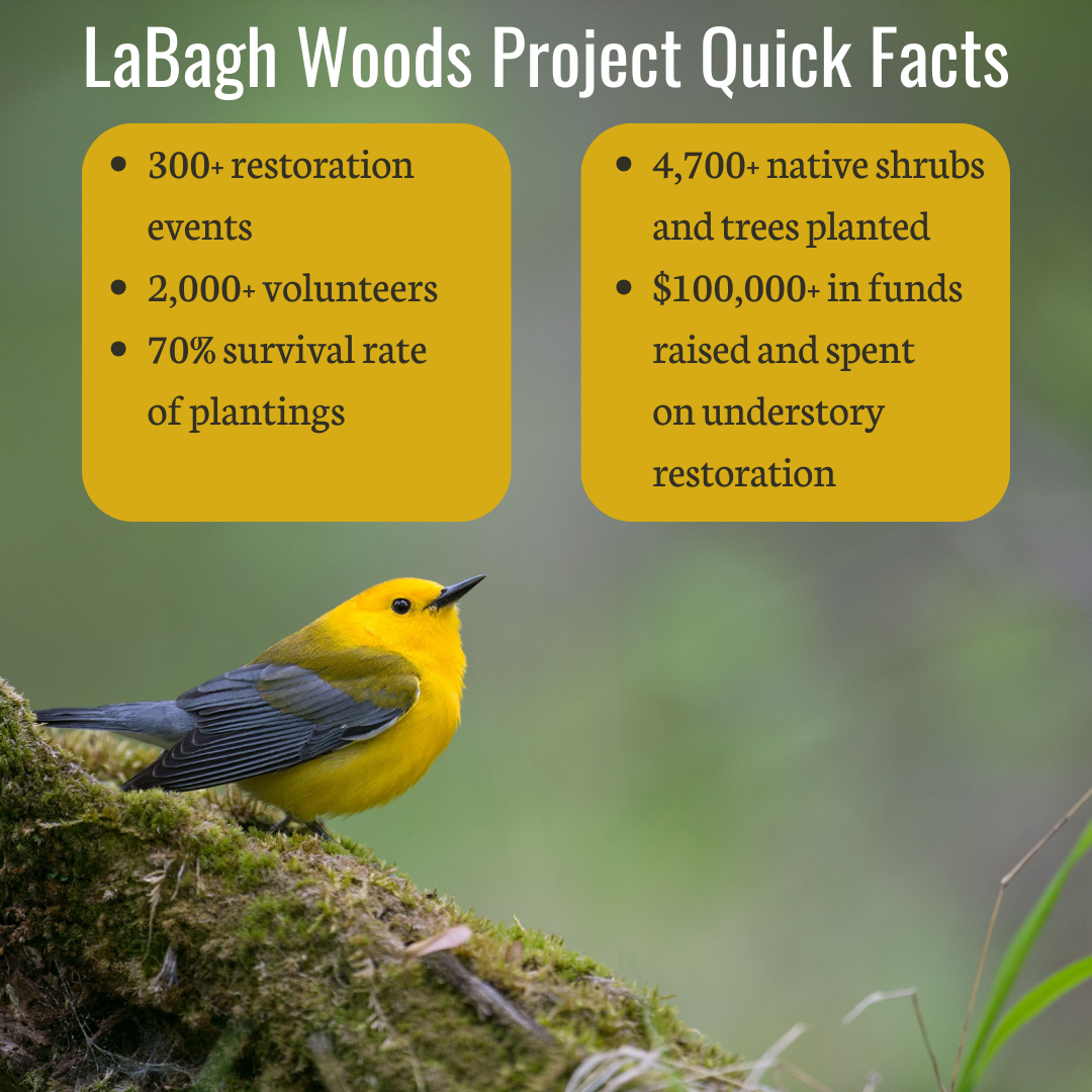 LaBagh Woods Project — Chicago Ornithological Society