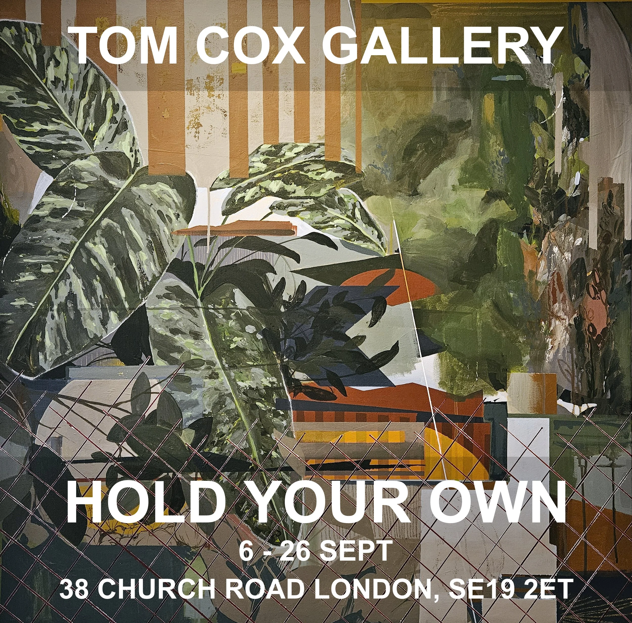 Hold Your Own — TOM COX