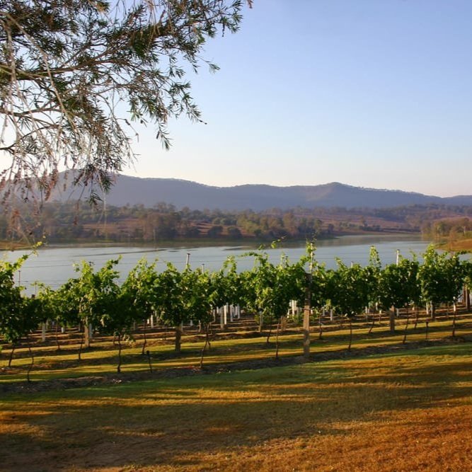 Scenic Rim Tours — Tash Maree Travel | Wine Tasting Tours