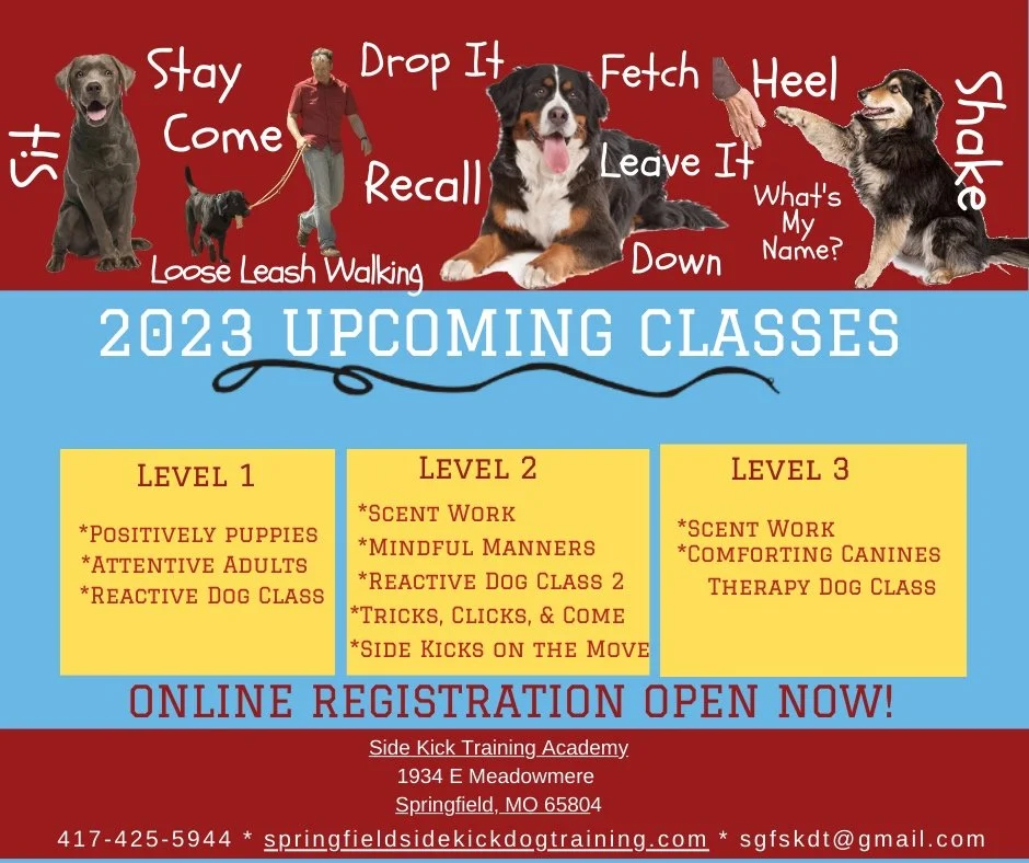 Classes — Springfield Side Kick Dog Training