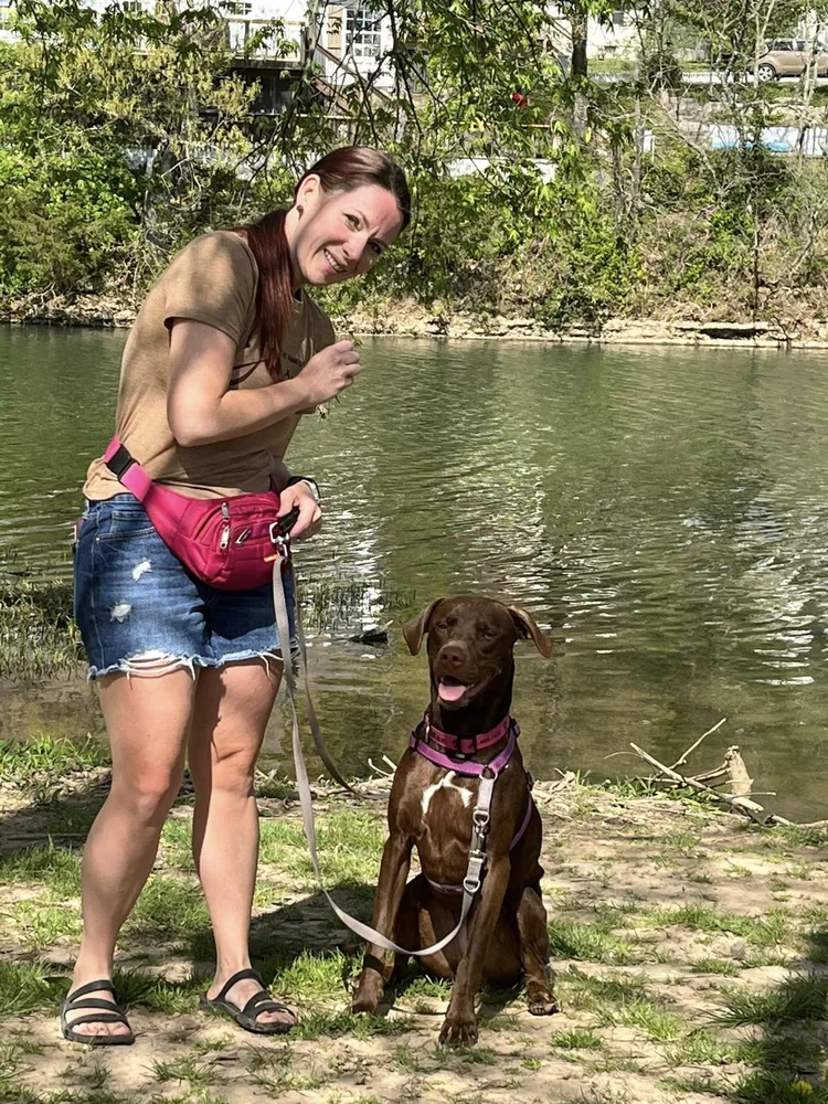 Springfield Side Kick Dog Training