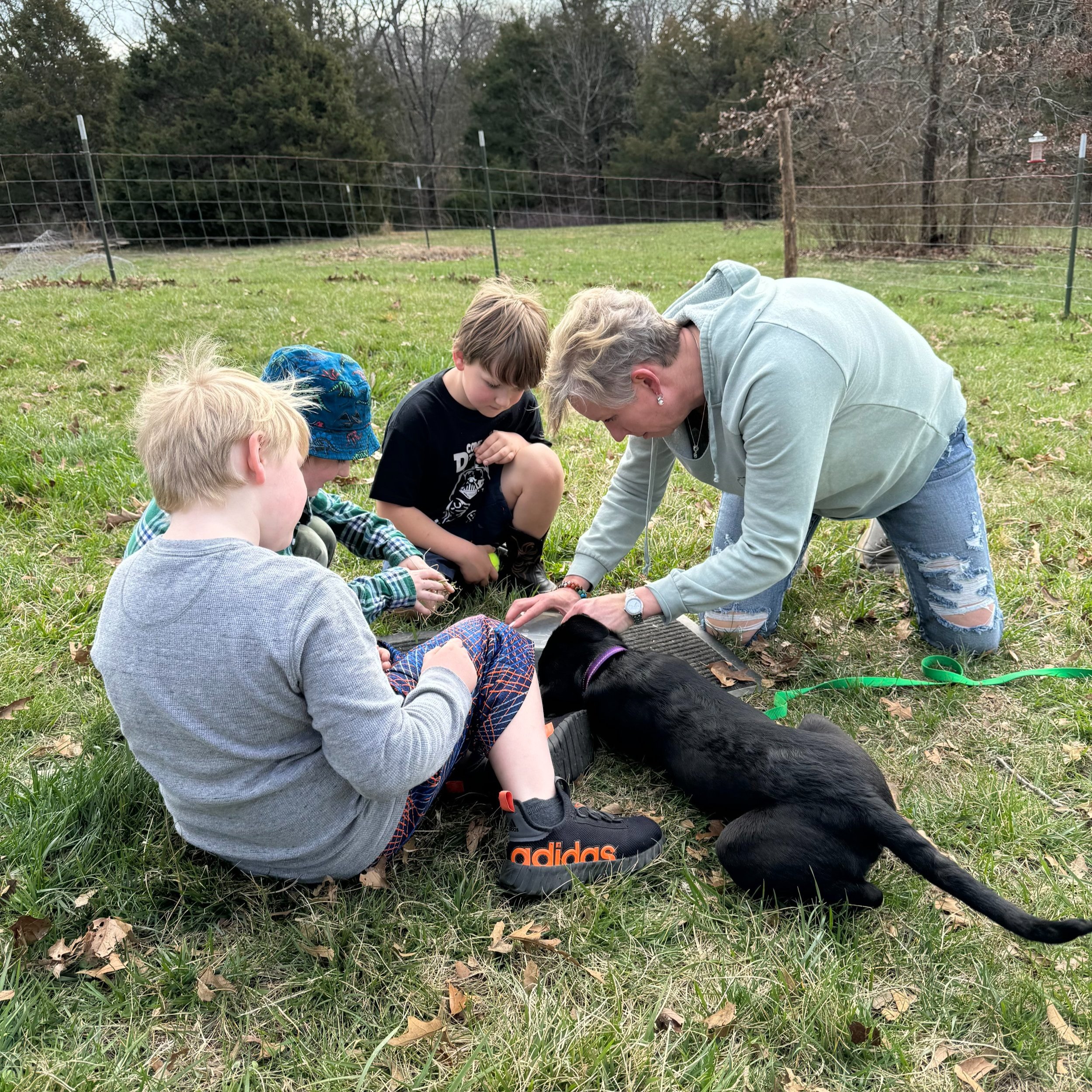 Private Training — Springfield Side Kick Dog Training