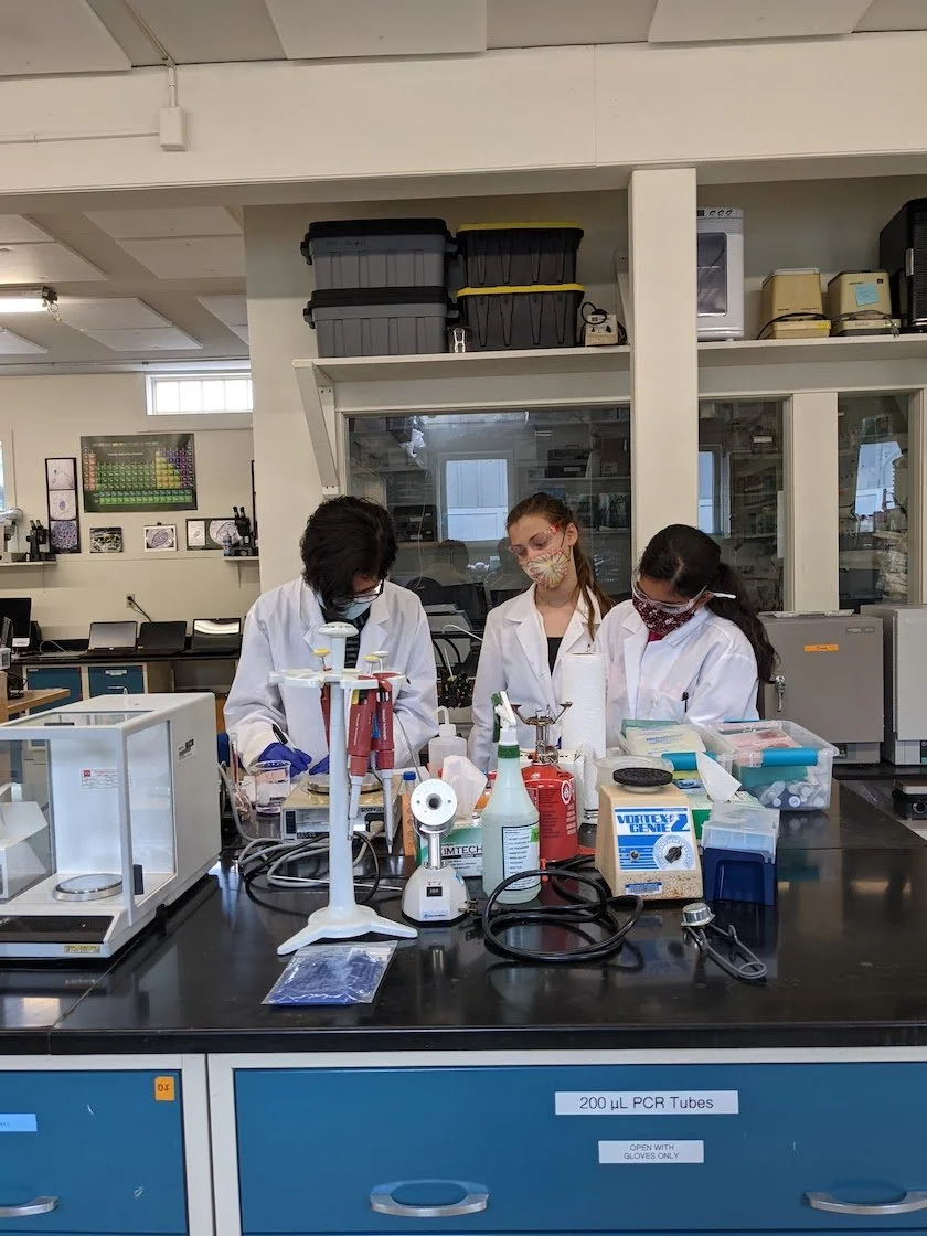 New Hampshire Academy of Science — STEM Fellowship