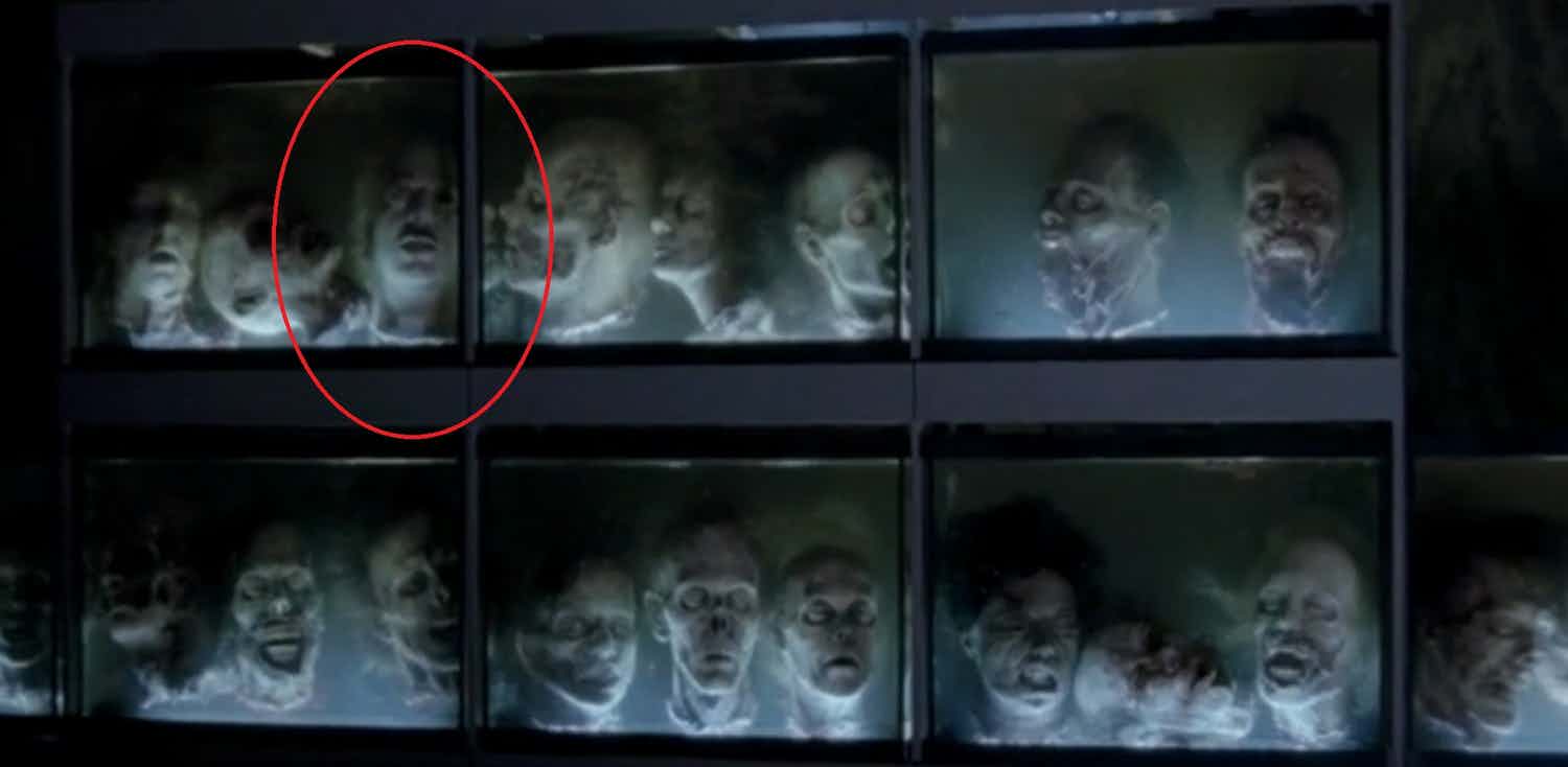 Ultimate Guide To Jaws Easter Eggs — The Daily Jaws