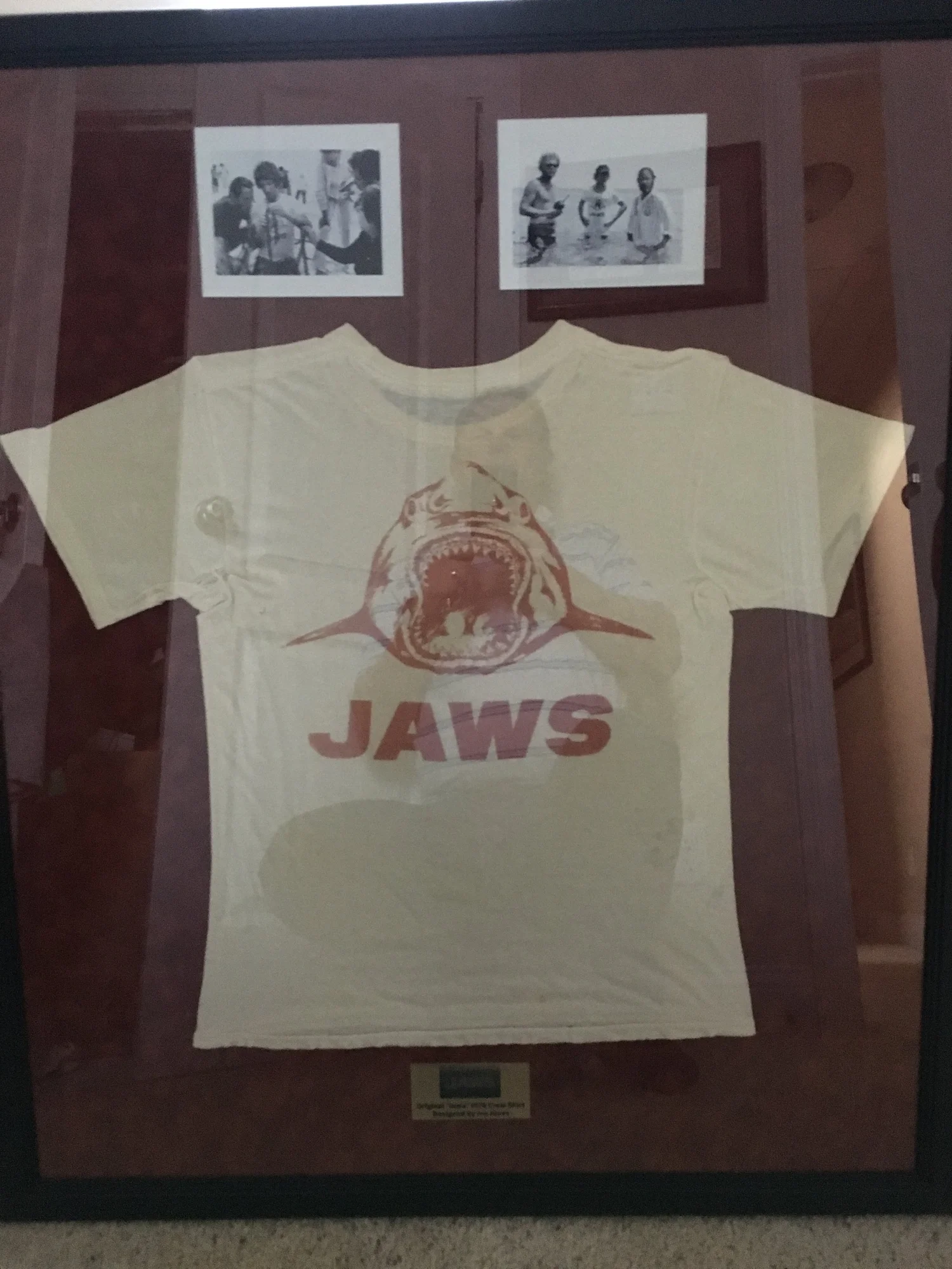 Jaws Fan Jimmy — The Daily Jaws