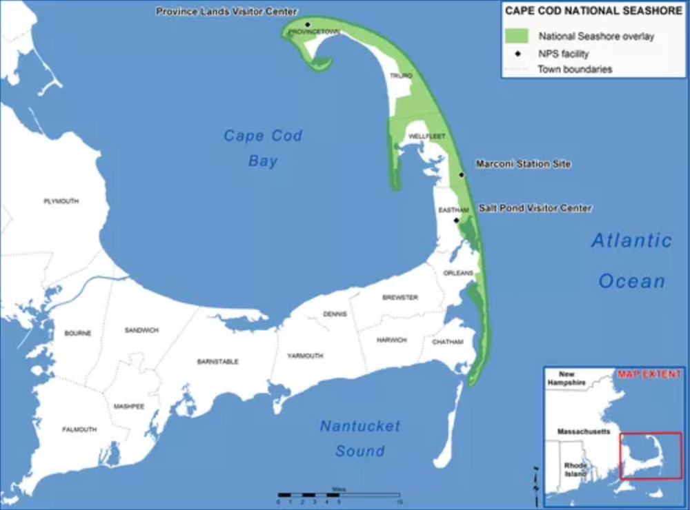 Is Cape Cod becoming the real life Amity Island? — The Daily Jaws