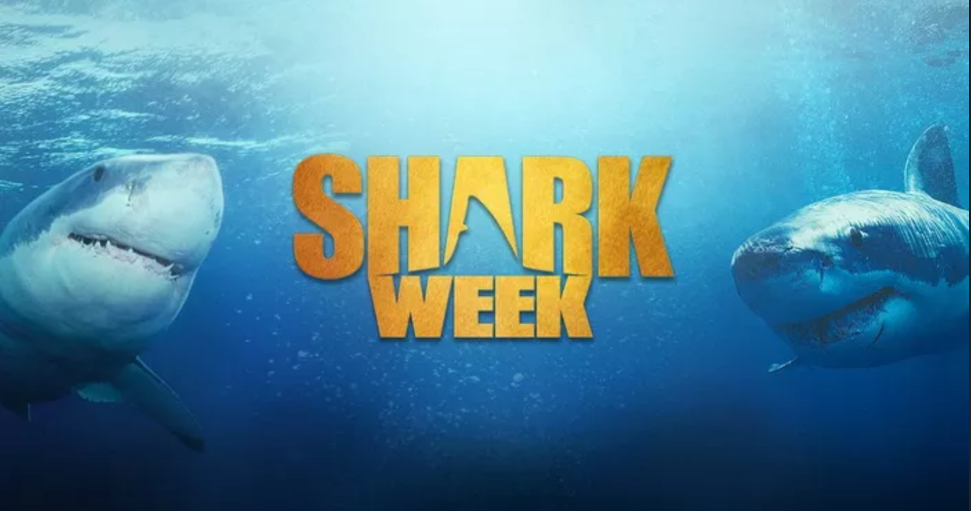Shark Week 2019: Dates Announced — The Daily Jaws