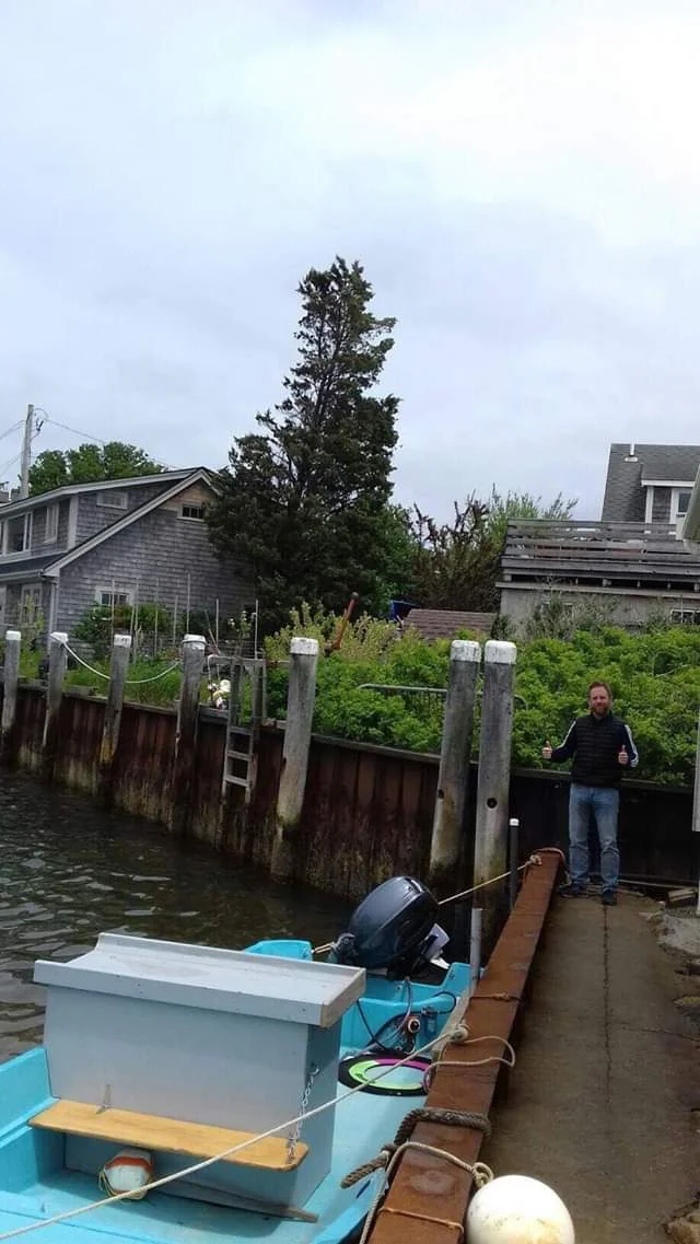 Jaws: from the VCR to the Vineyard — The Daily Jaws