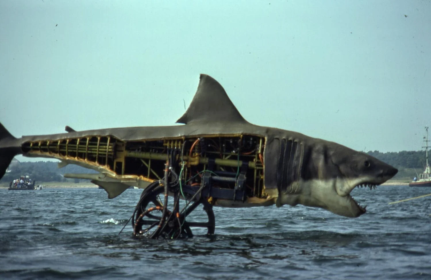Deconstructing Jaws: A Screenwriter's Reflections — The Daily Jaws