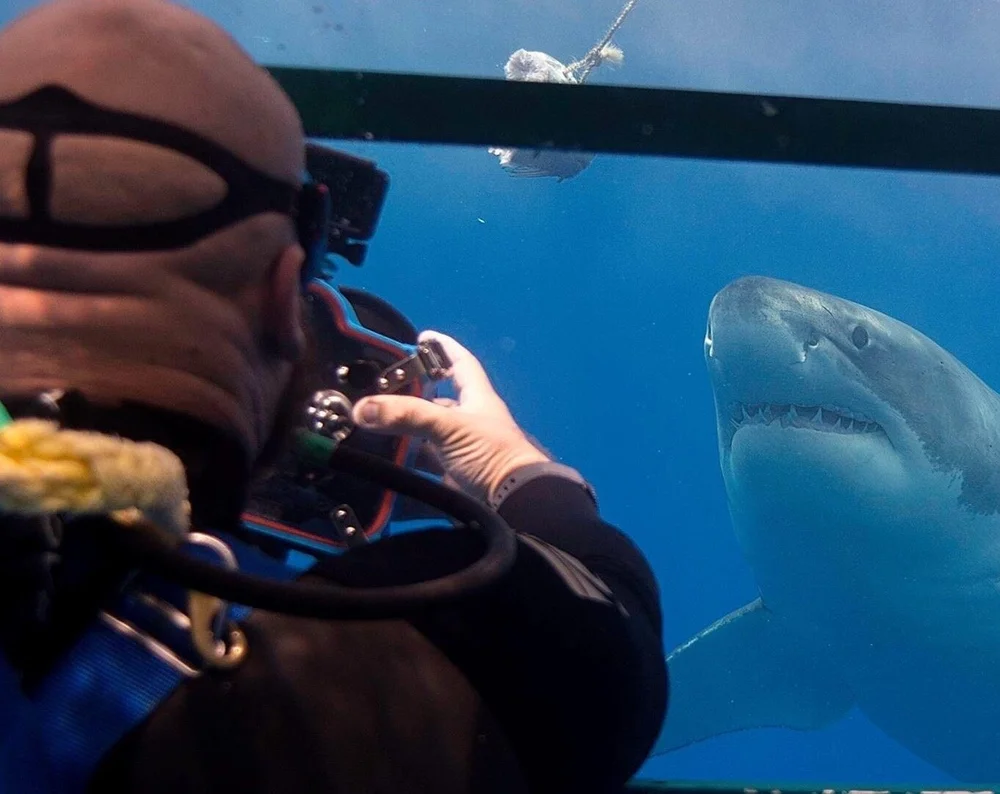 Interview: Euan Rannachan — The Daily Jaws