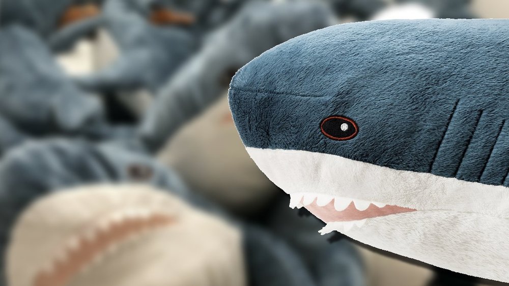 ENDANGERED: BELOVED IKEA SHARK SET TO BECOME EXTINCT? — The Daily Jaws