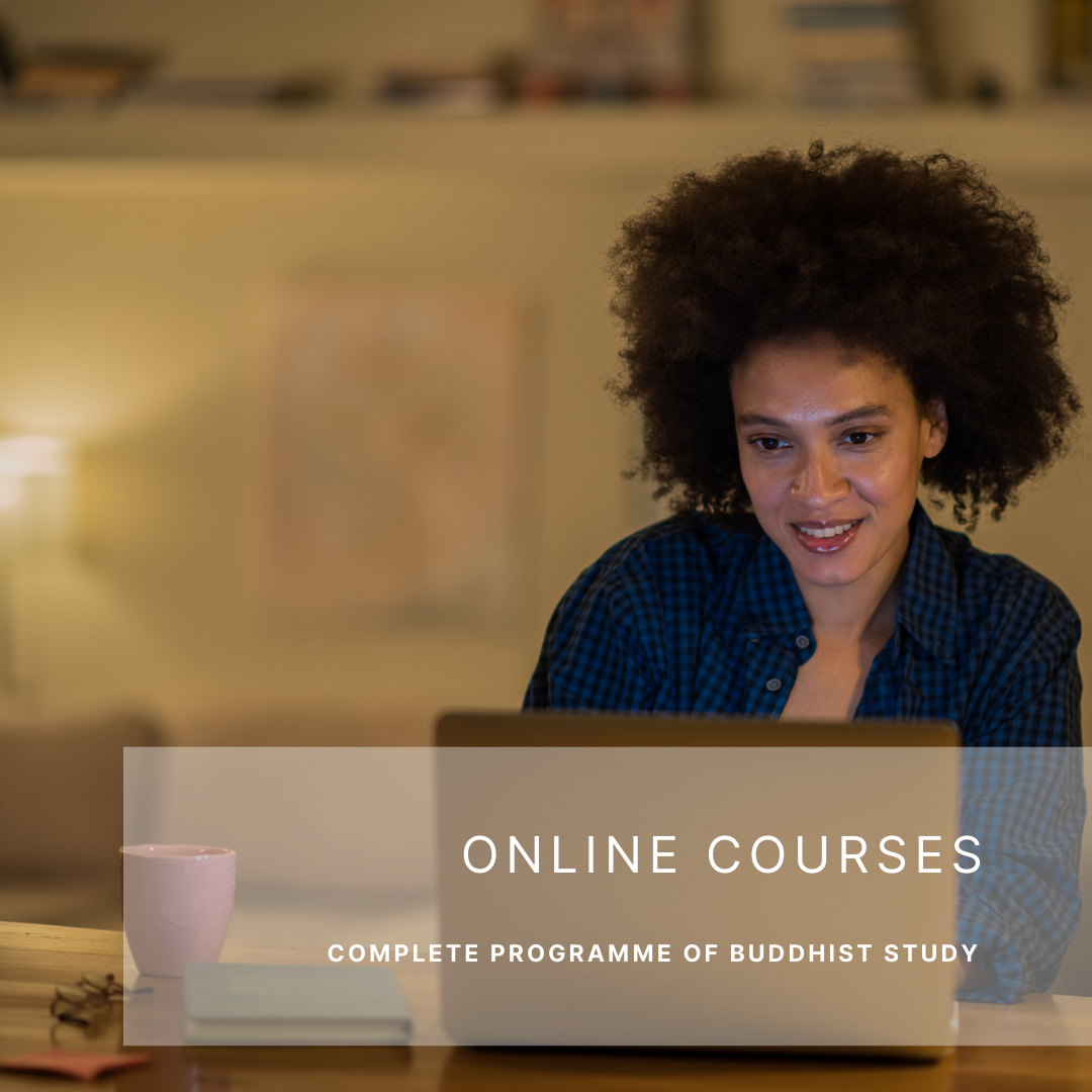 Online Learning — Rigpa