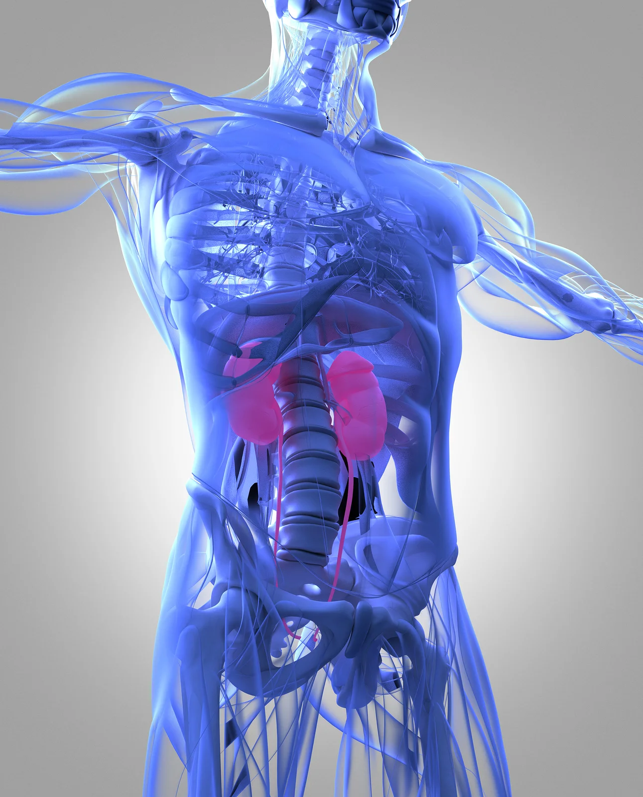 ESWL - Urology, Lithotripsy, shockwave — Impact Medical