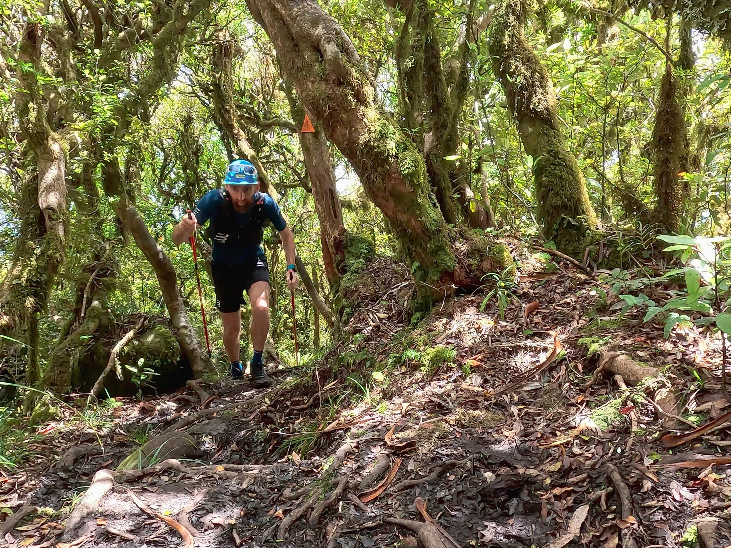 Paul Giblin: The Man Running 3,000 Kilometers Along The Te Araroa Trail ...